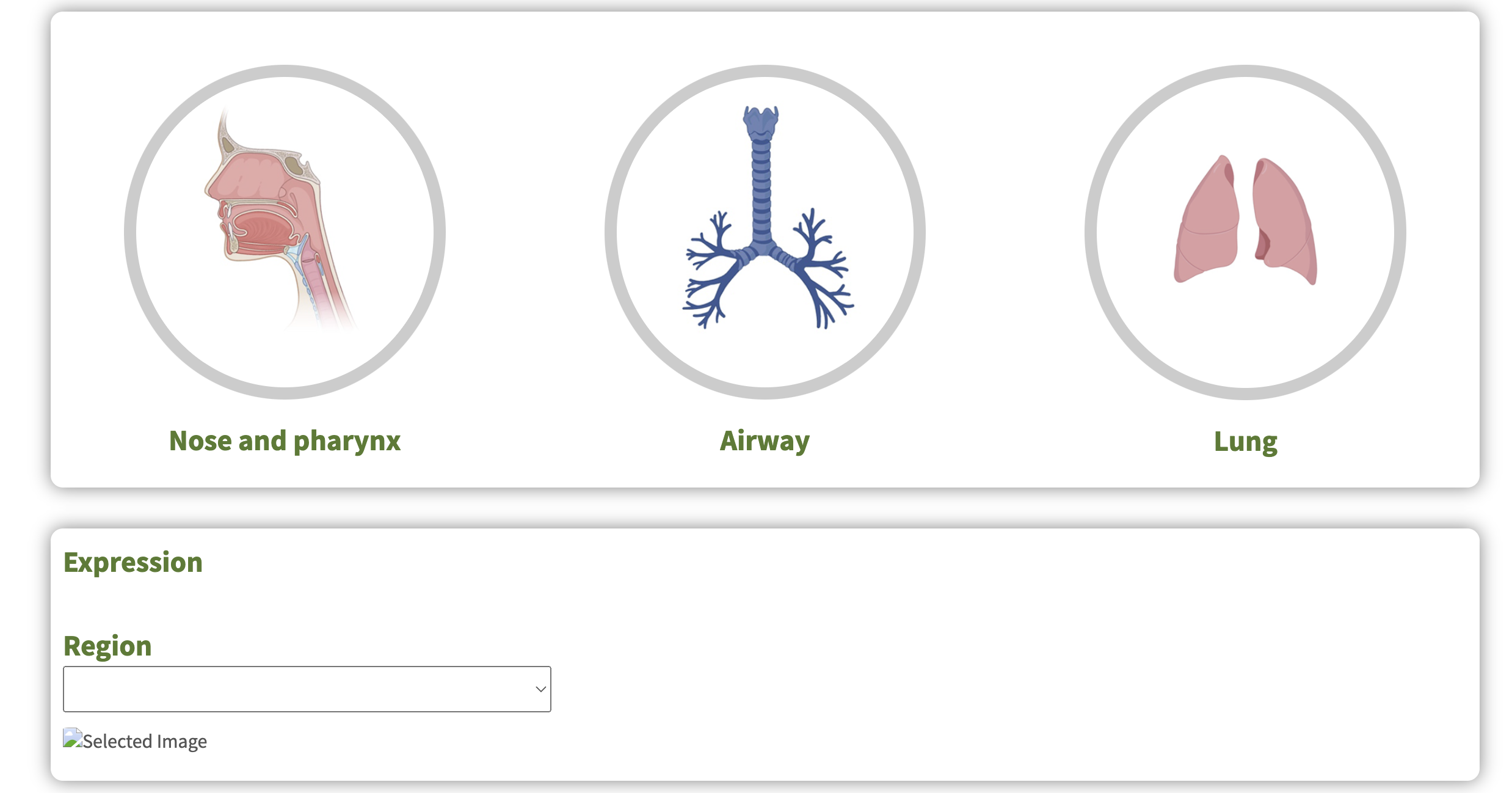 Resp Cell Atlas - Helps