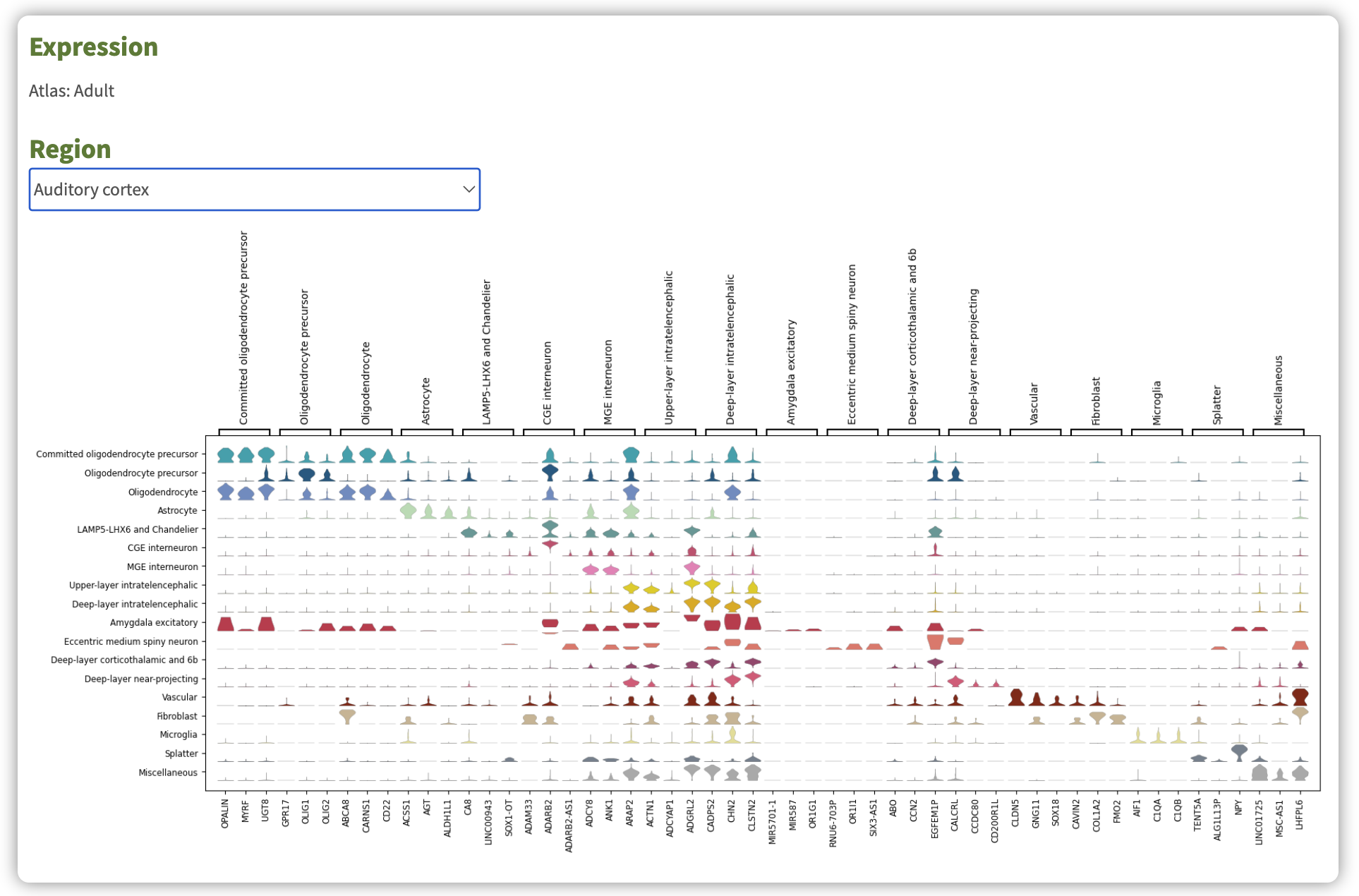 Resp Cell Atlas - Helps